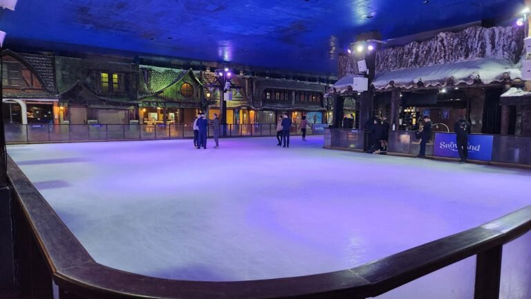 Snowland Gramado: Um Guia Completo para sua Aventura Congelante na ...